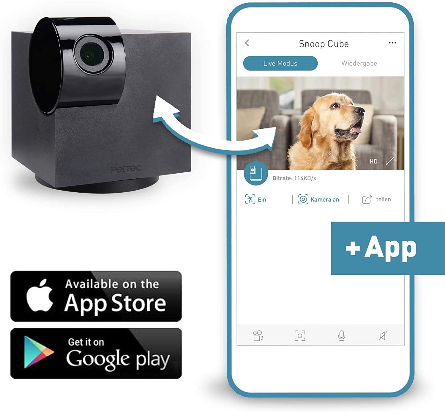Caméra pour Chien : Laquelle Choisir ? 🎥