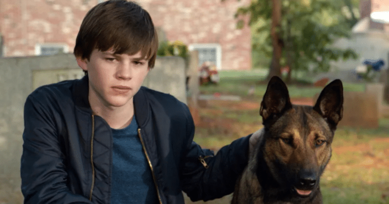 Max sur Netflix : un Film entre dominance et sensibilité canine